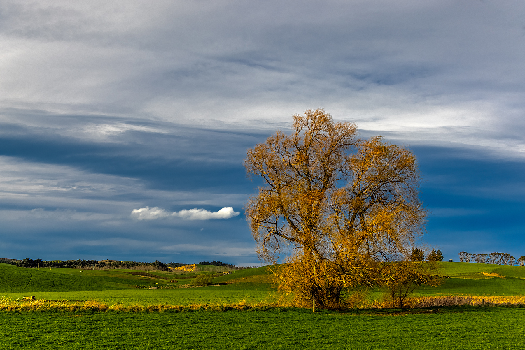 Alps 2 Ocean "Taster" - Pen-y-bryn Lodge